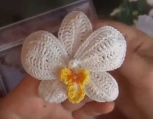 Free Video Tutorial for a Crochet Flower Orchid ⋆ Crochet Kingdom
