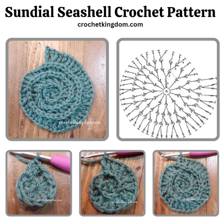 Sundial Seashell Free Crochet Pattern ⋆ Crochet Kingdom
